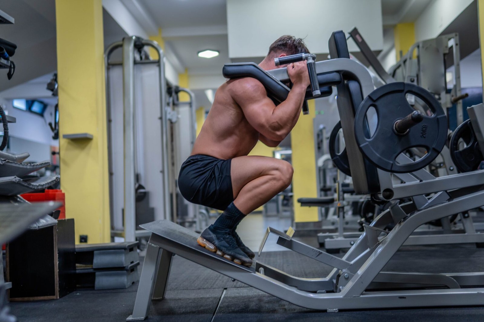 SM Series - Crest Fitness